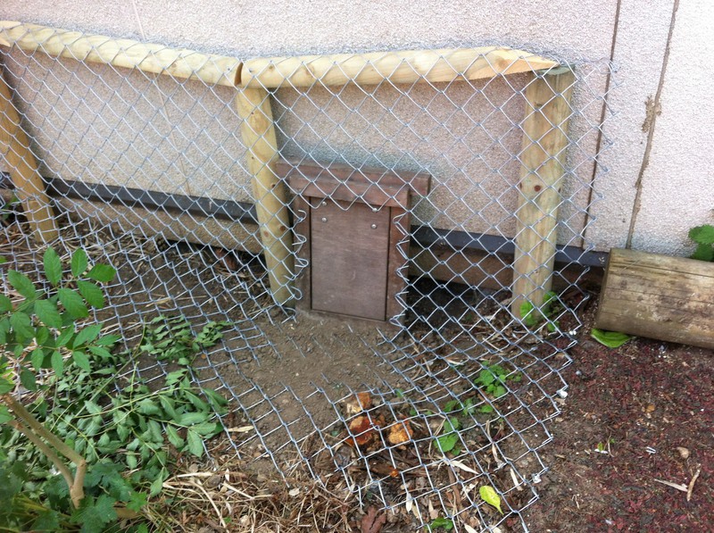 John Wenman Ecological Consultancy - Badger survey and mitigation